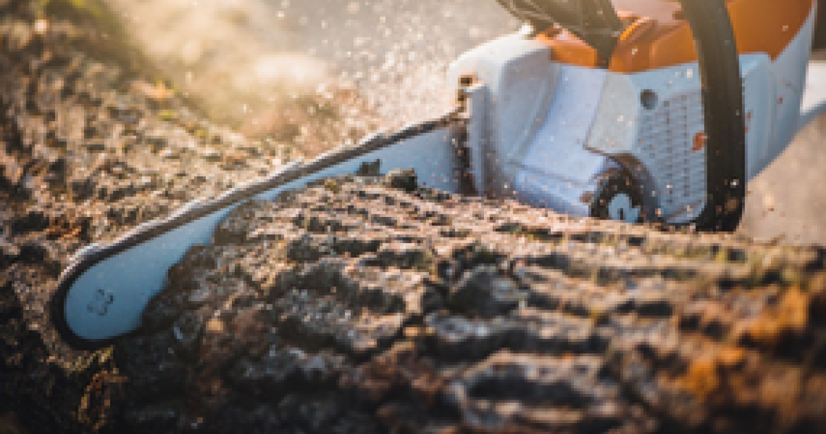 Power Up Your Tools: Advanced Motor Control for Unmatched Performance ...